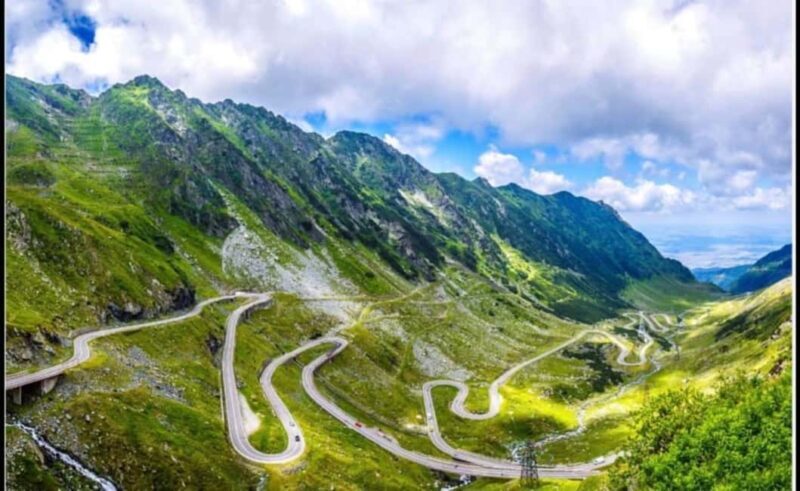 From Bucharest: Fgra Mountains and Bear Watching Tour - Key Points