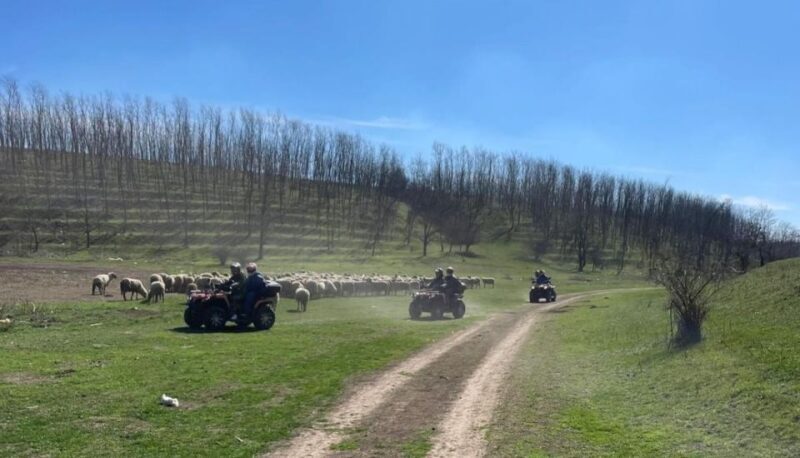 From Bucharest: Forest and Hills ATV Quad Bike Tour - Final Thoughts