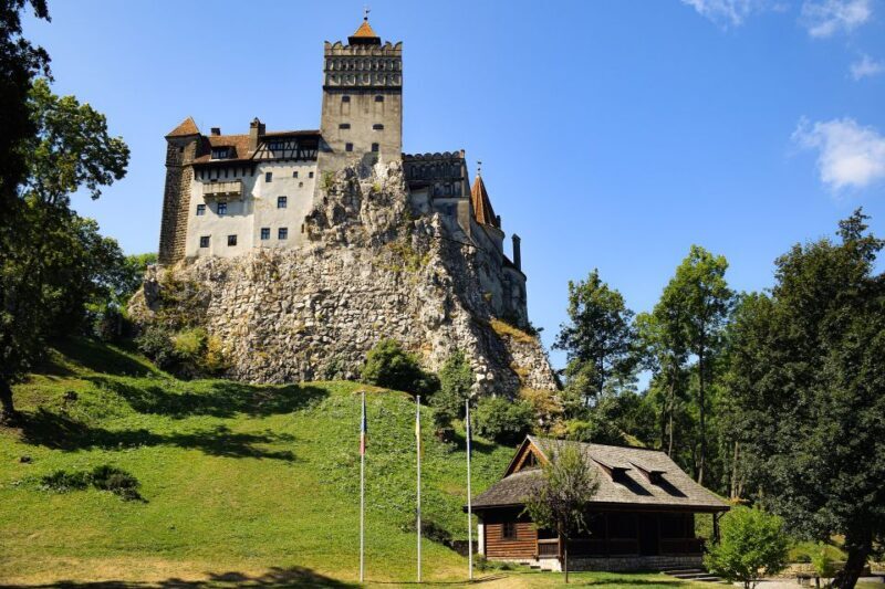 From Bucharest: Libearty Bear Sanctuary and Dracula's Castle - The Practical Side