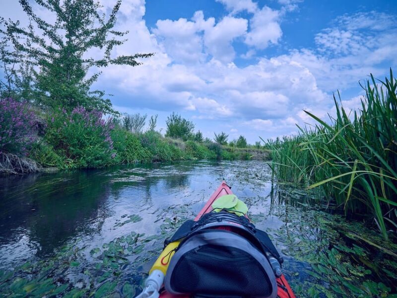 From Bucharest: Neajlov River Kayaking Adventure - Key Points