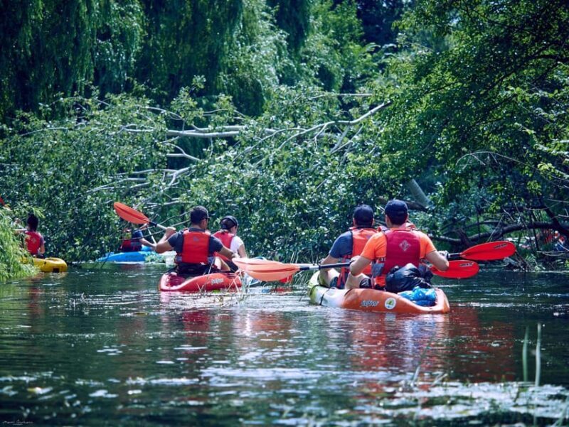 From Bucharest: Neajlov River Kayaking Adventure - Experience Provider