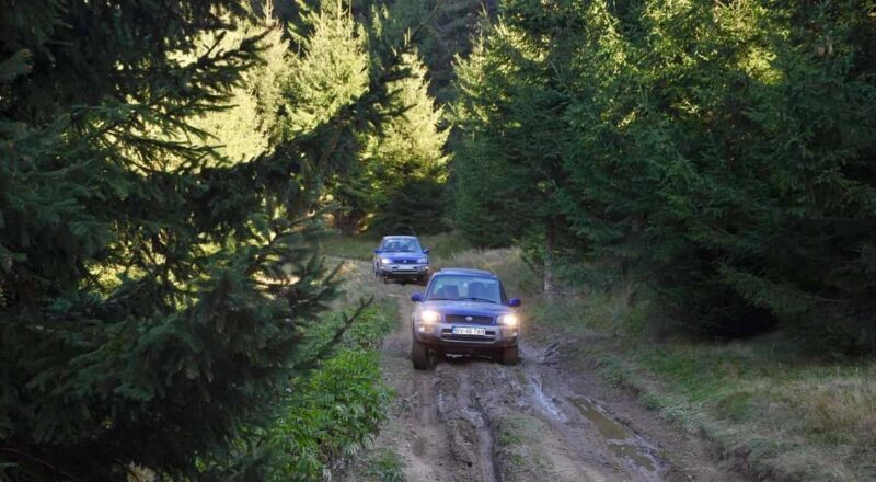 From Bucharest: Off-Road in the Carpathian Mountains - Key Points
