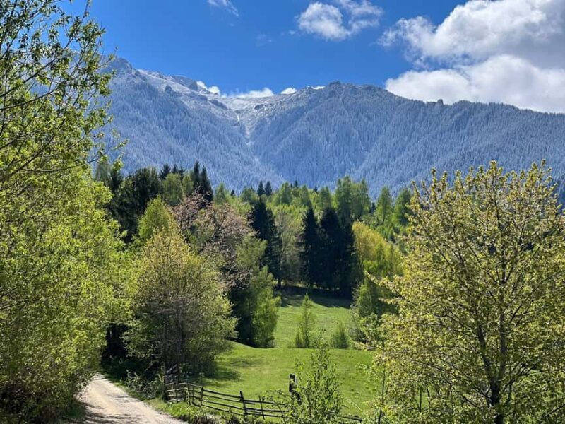 From Bucharest: Off-Road in the Carpathian Mountains - Final Thoughts