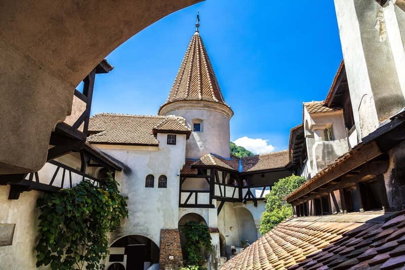 From Bucharest: Peles Castle, Brasov & Bran Castle Day Trip - Accessibility and traveler tips