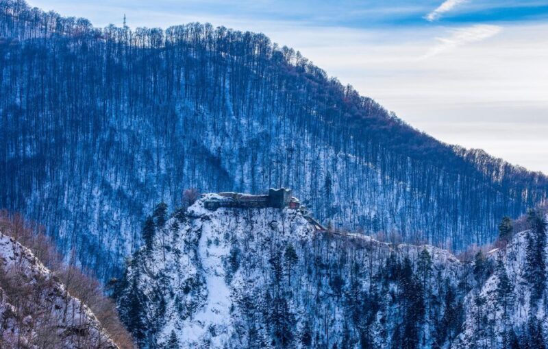From Bucharest: Private Transfagarasan Highway Day Tour - Real Travelers’ Perspectives