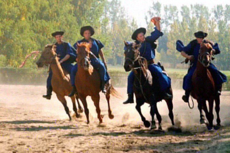 From Budapest: Full-Day Puszta Tour with Lunch and Show - The Experience in Detail: What to Expect
