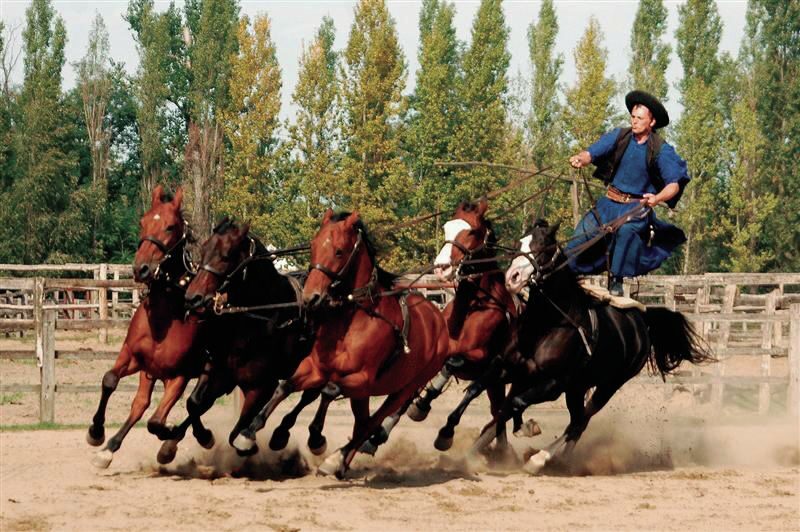 From Budapest: Full-Day Puszta Tour with Lunch and Show - What Reviewers Say
