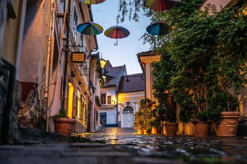 From Budapest: Full or Half Day Danube Bend Cruises - What’s Included and What’s Not