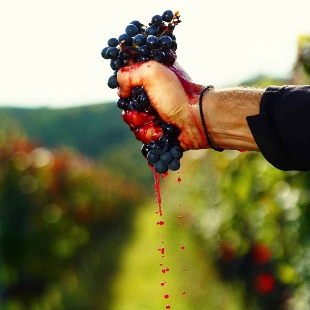 From Budapest: Guided Tour of Eger with Wine Tasting - Who This Tour Is Best For