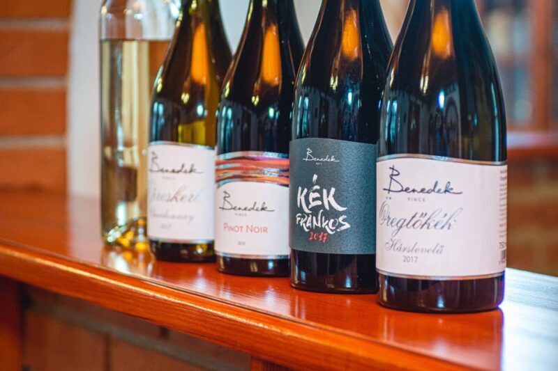 From Budapest: Mátra Hills Wine Tour - A Closer Look at the Mátra Hills Wine Tour