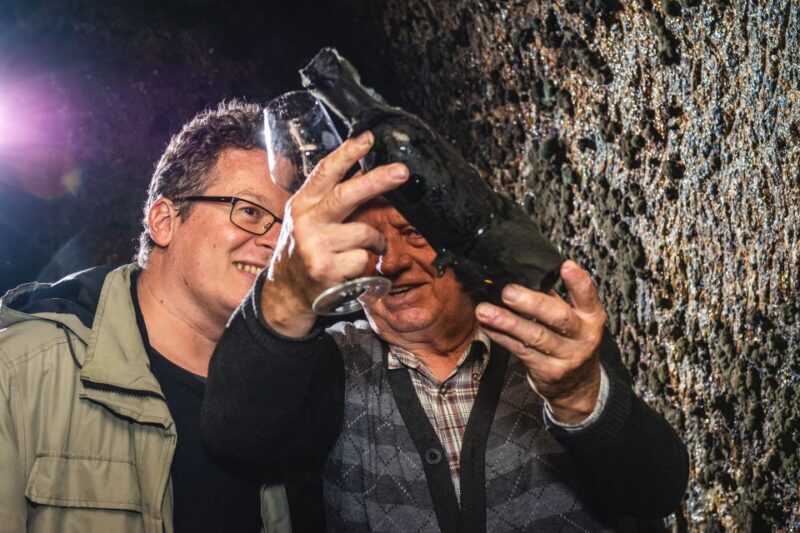 From Budapest: Mátra Hills Wine Tour - FAQ