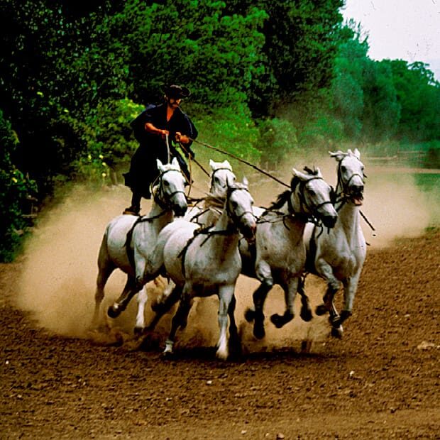 From Budapest: Puszta Horse Show and Countryside Visit - Key Points