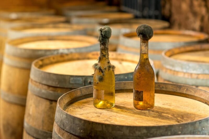 From Budapest: Tokaj Wine Tour with Tasting and Lunch - Key Points
