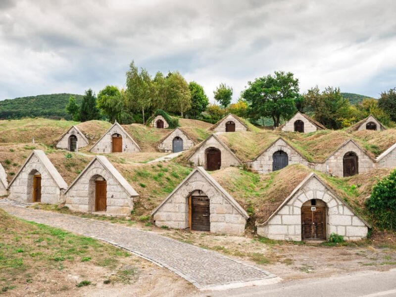 From Budapest: Tokaj Wine Tour with Tasting and Lunch - Why This Tour Works Well