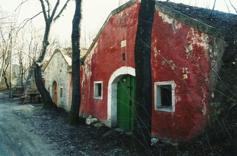 From Budpaest: Páty Wine Village Tour with Tastings - Exploring the Páty Wine Village Tour from Budapest: A Deep Dive