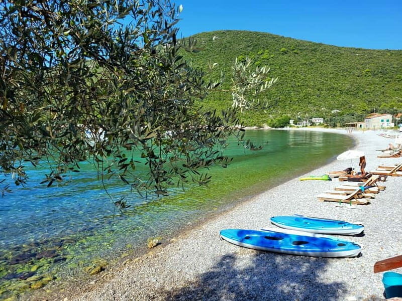 From Budva: Boka bay with Polish guide - Who Will Enjoy This Tour?