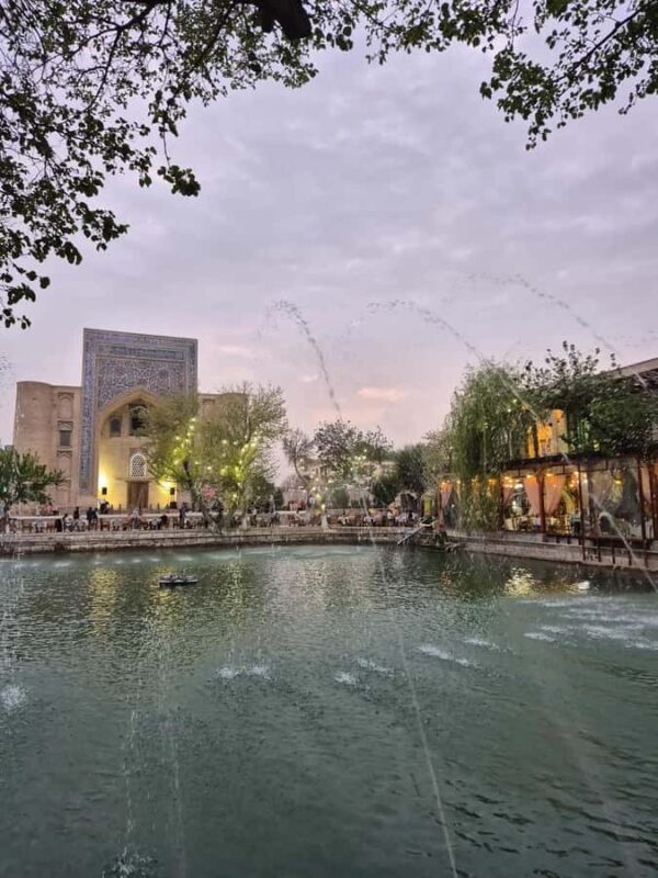 From Bukhara: Desert Safari Eco-Tour Experience - What the Reviews Say