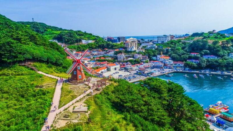 From Busan: Enchanting Oedo Island Day Tour with Windy Hill - An In-Depth Look at the Tour Experience