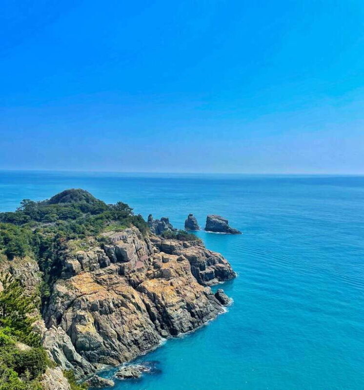 From Busan: Enchanting Oedo Island Day Tour with Windy Hill - Authentic Insights from Travelers