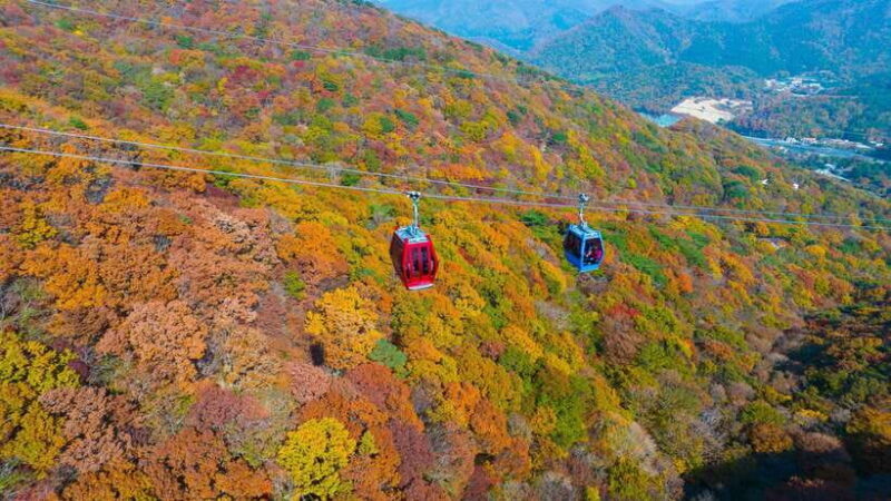 From Busan: Enchanting Oedo Island Day Tour with Windy Hill - FAQ