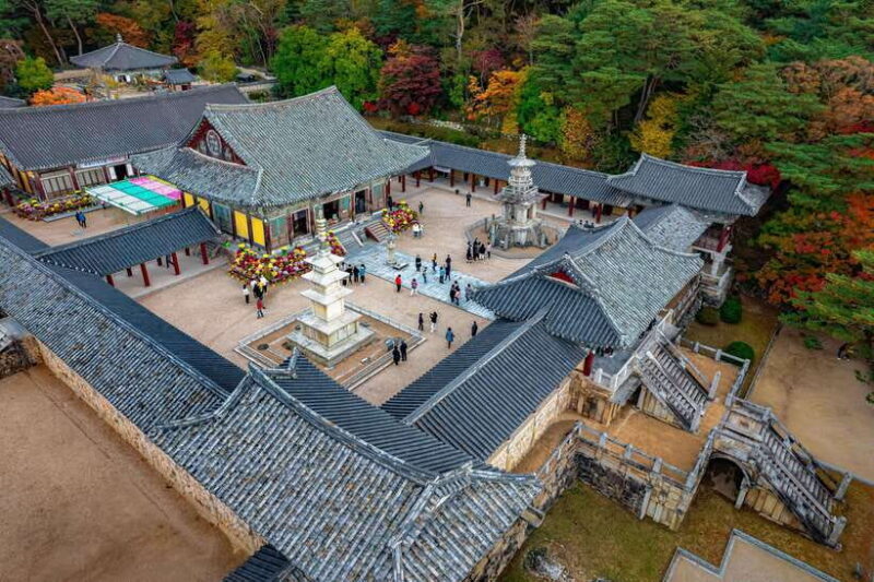 From Busan: Gyeongju Full-Day Historical Tour - Exploring Gyeongju on a Full-Day Tour from Busan
