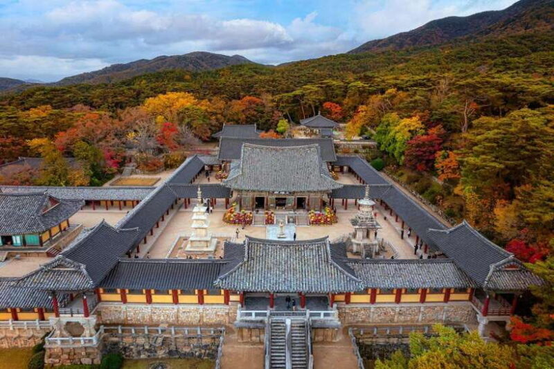 From Busan: Gyeongju Historical Day Tour with Sky Capsule - Final Thoughts
