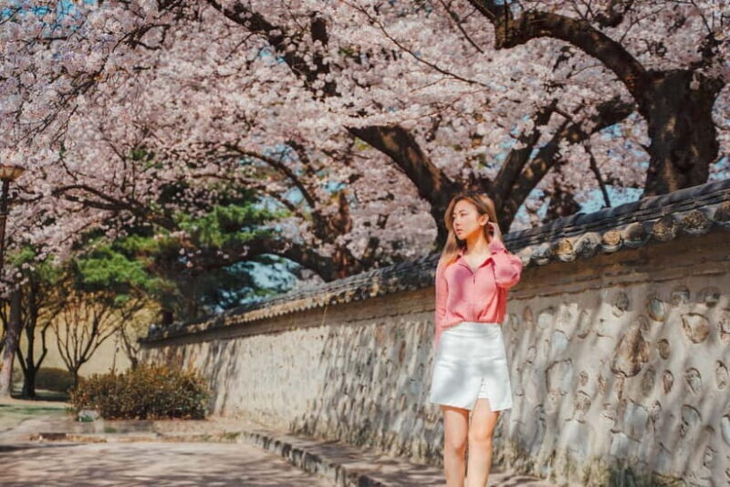 From Busan: Gyeongju Small Group Photo Tour (Max 6 Pax) - Practical Details and Considerations
