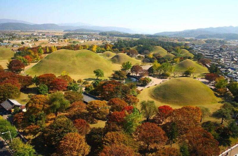 From Busan: Gyeongju UNESCO Guided Full-Day Tour - Introduction to the Gyeongju UNESCO Tour