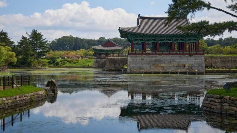 From Busan: Gyeongju UNESCO Guided Full-Day Tour - Pricing and Value Analysis