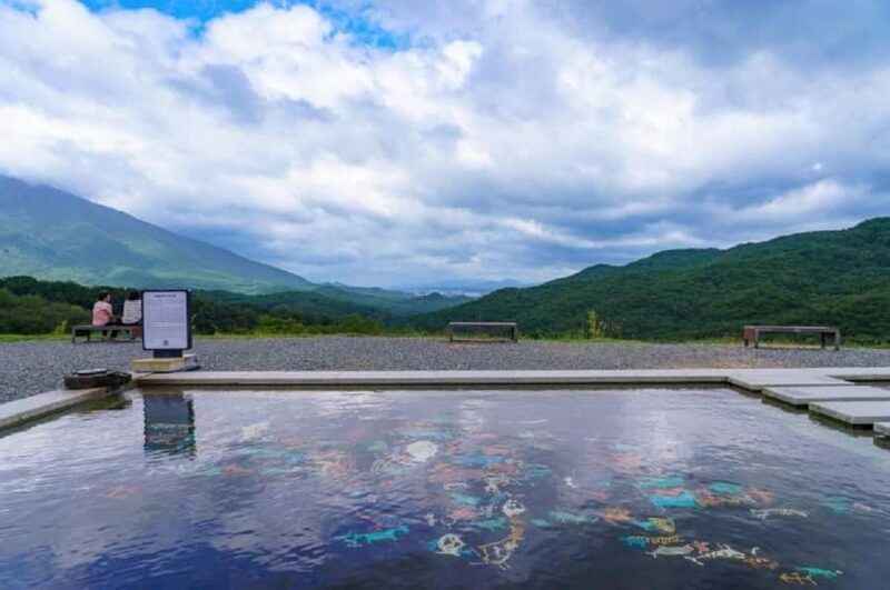 From Busan: Hidden Buddhist Temples Tour Private Day Trip - Key Points