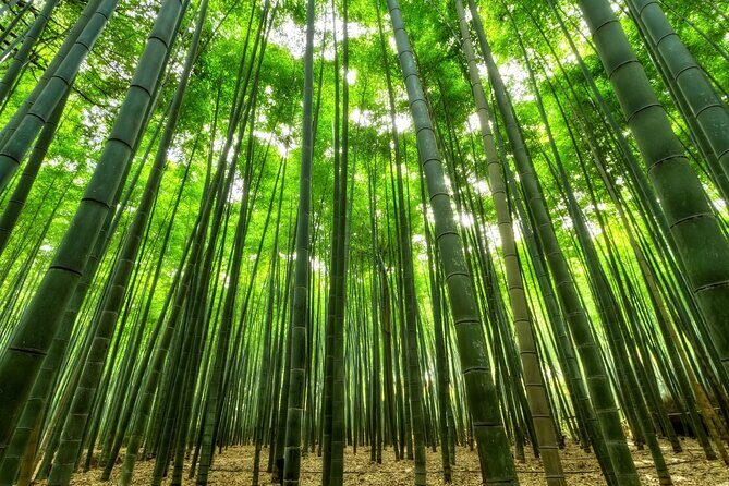 From Busan to Gyeongju UNESCO Legacy Tour with National Museum - FAQ