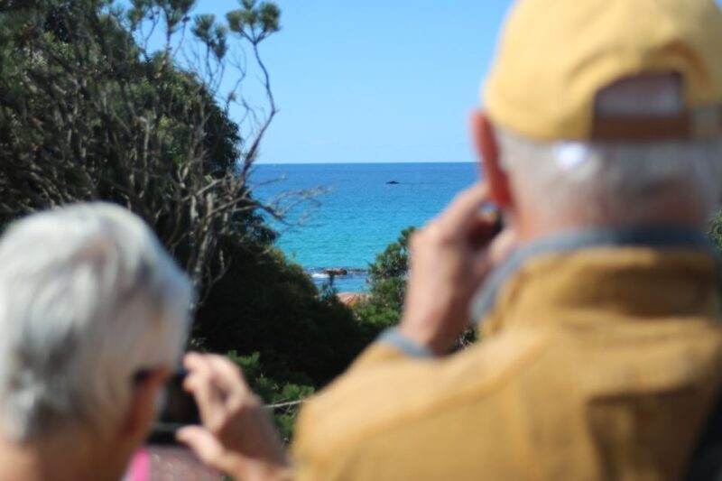 From Busselton: Half-Day Coastal and Wildlife Eco Tour - An In-Depth Look at the Tour Itinerary