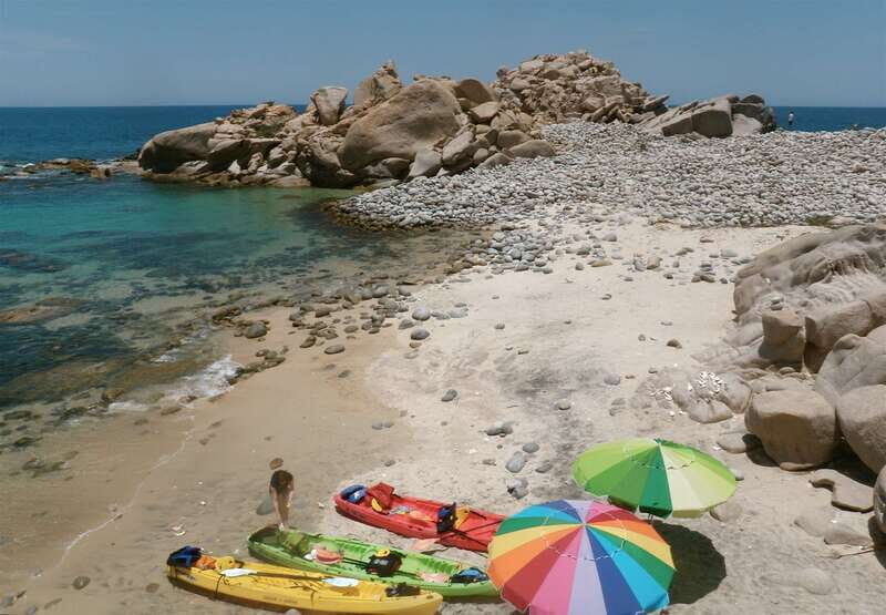 From Cabo: Cabo Pulmo Marine Park Snorkeling and Kayaking - What’s Included and What to Know