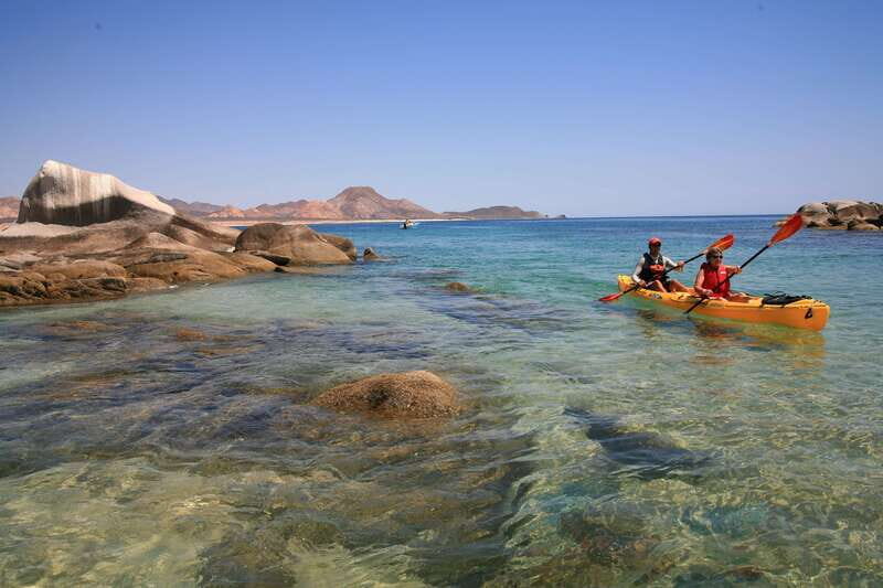 From Cabo: Cabo Pulmo Marine Park Snorkeling and Kayaking - The Sum Up: Who Will Love This Tour?