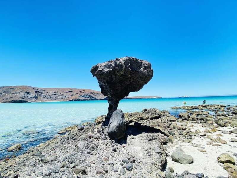 From Cabo/San José del Cabo: La Paz, Balandra & Todos Santos - Who Will Enjoy This Tour?
