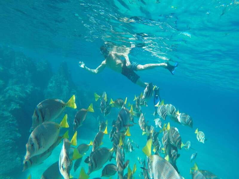 From Cabo San Lucas: Lovers Beach and El Arco Boat Trip - Whats Included and What’s Not