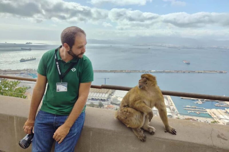 From Cadiz Bay: Gibraltar Day Trip with Rock Tour - Authentic Feedback from Travelers
