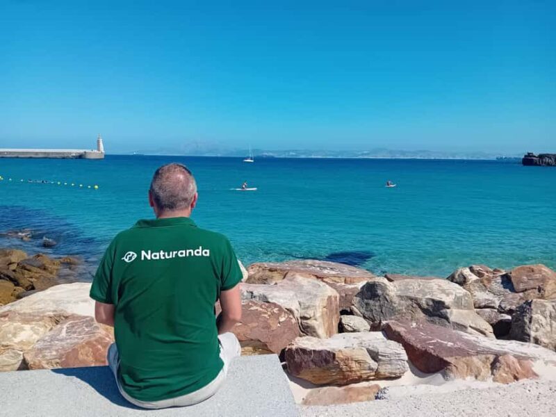 From Cádiz Bay: Tarifa Dolphin Watching Tour - An In-Depth Look at the Experience