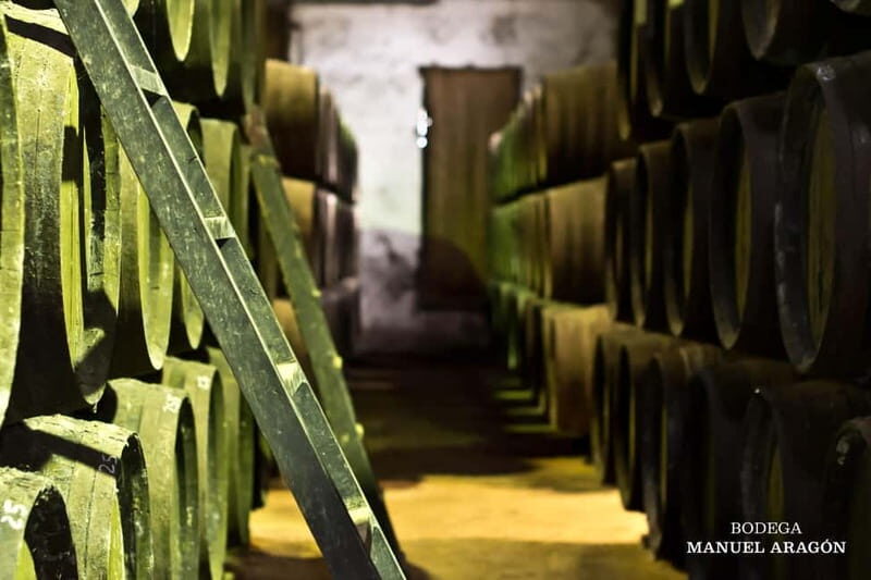 From Cádiz: Chiclana de la Frontera Winery Tour with Lunch - Introduction