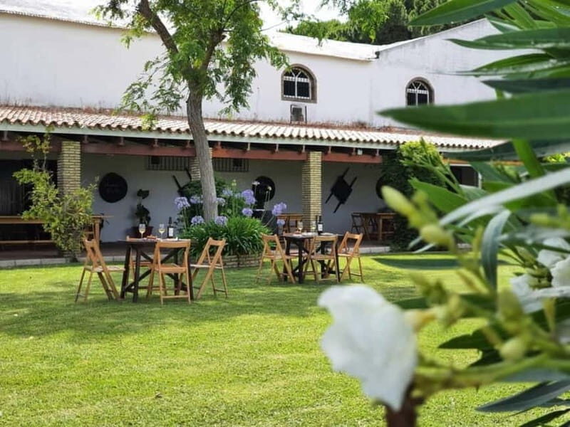From Cádiz: Chiclana de la Frontera Winery Tour with Lunch - Detailed Breakdown of the Itinerary