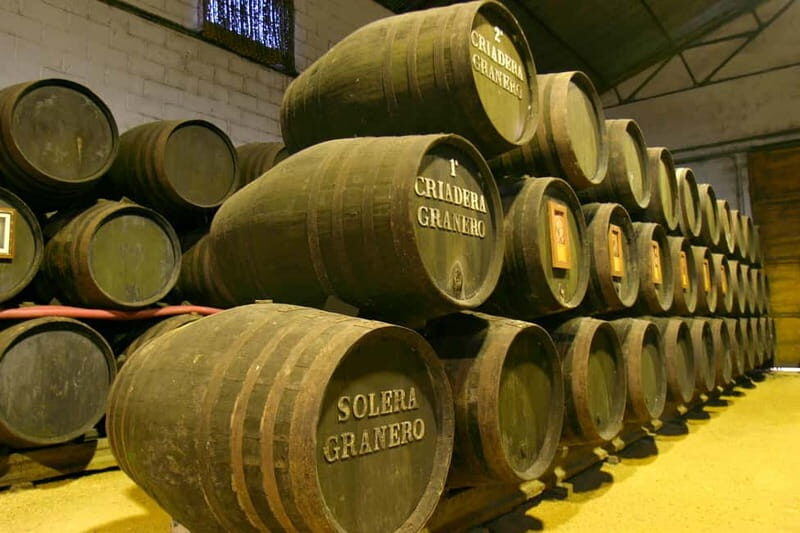 From Cádiz: Chiclana de la Frontera Winery Tour with Lunch - Final Thoughts: Who Is This Tour For?