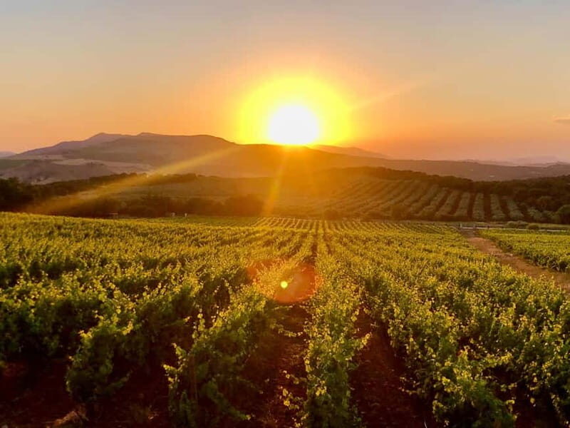 From Cádiz: Ronda Premium Private Day Tour with Wine Tasting - The Value and Practical Details