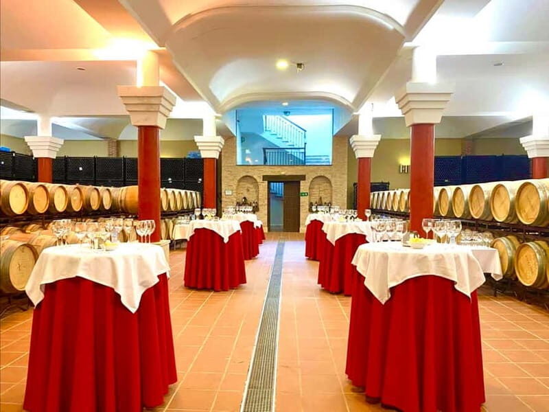 From Cádiz: Ronda Premium Private Day Tour with Wine Tasting - Who Will Love This Tour?