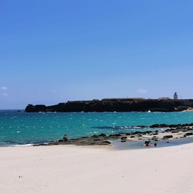 From Cadiz: Tarifa & Roman Ruins - Authentic Experiences Backed by Real Reviews