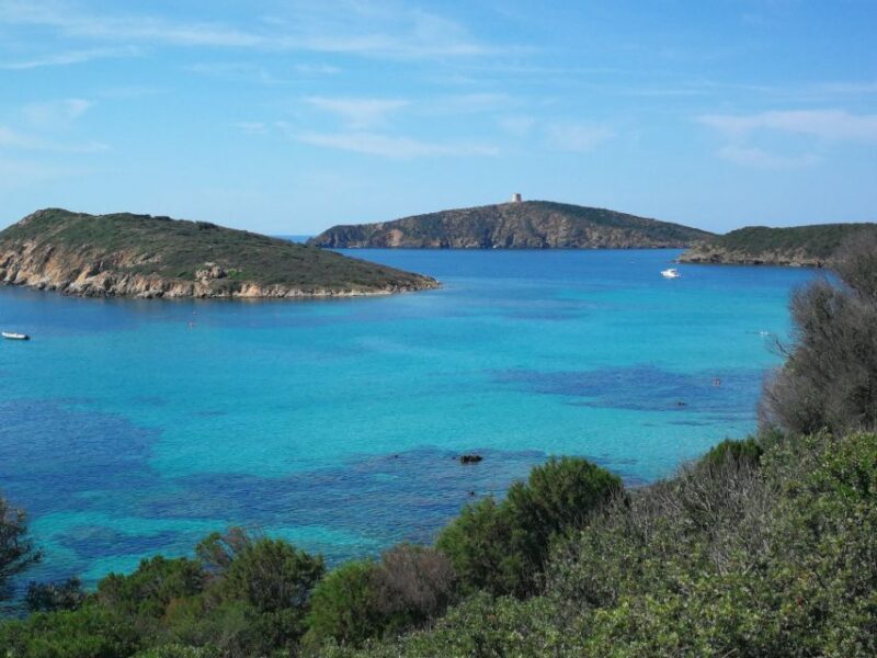 From Cagliari: Beaches Tour between Chia and Tueredda - Who Would Love This Tour?