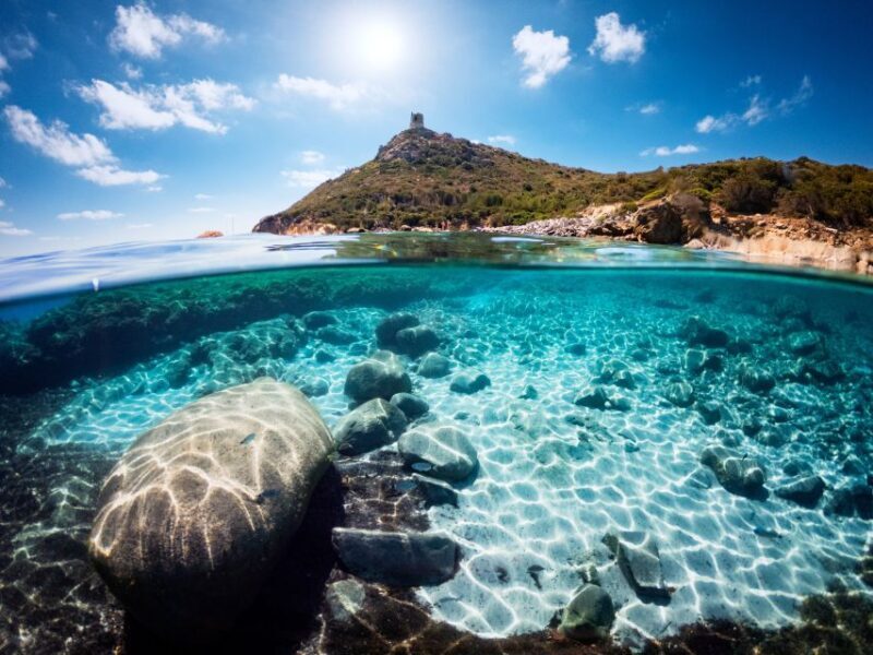 From Cagliari: Chia and Tuerredda Full-Day Guided Beach Tour - Diving Into the Experience