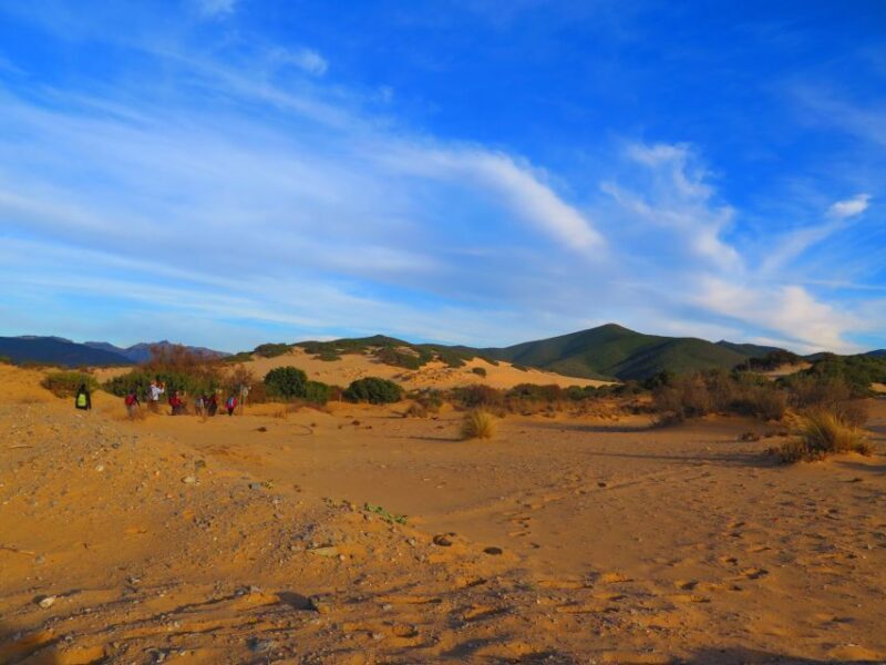 From Cagliari: Piscinas Old Mines and Montevecchio Tour - An In-Depth Review: What to Expect