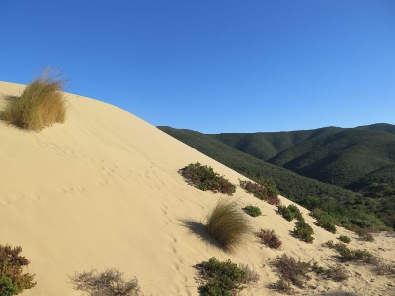 From Cagliari: Piscinas Old Mines and Montevecchio Tour - The Value and Who Will Love This Tour