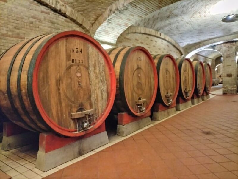 From Cagliari: Wine Cellar Tour with Tastings - An Inside Look at the Tour Itself