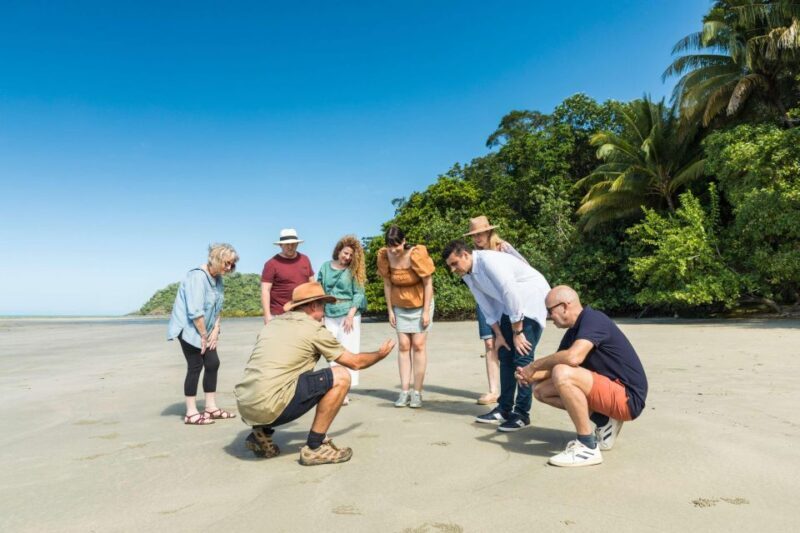 From Cairns: 3-Day Reef, Rainforest, and Outback Package - Introducing the 3-Day Reef, Rainforest, and Outback Package from Cairns